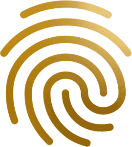 BAGOUSH studio – VFX Productions